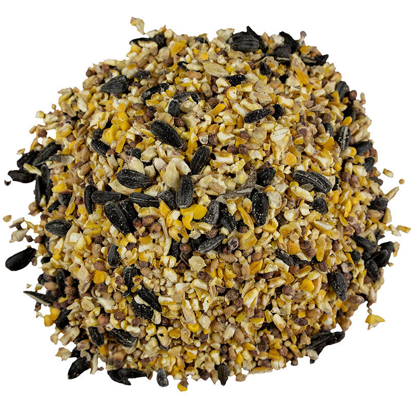 Easy Fill Bird Feeder - Bird Pro Economy Bundle