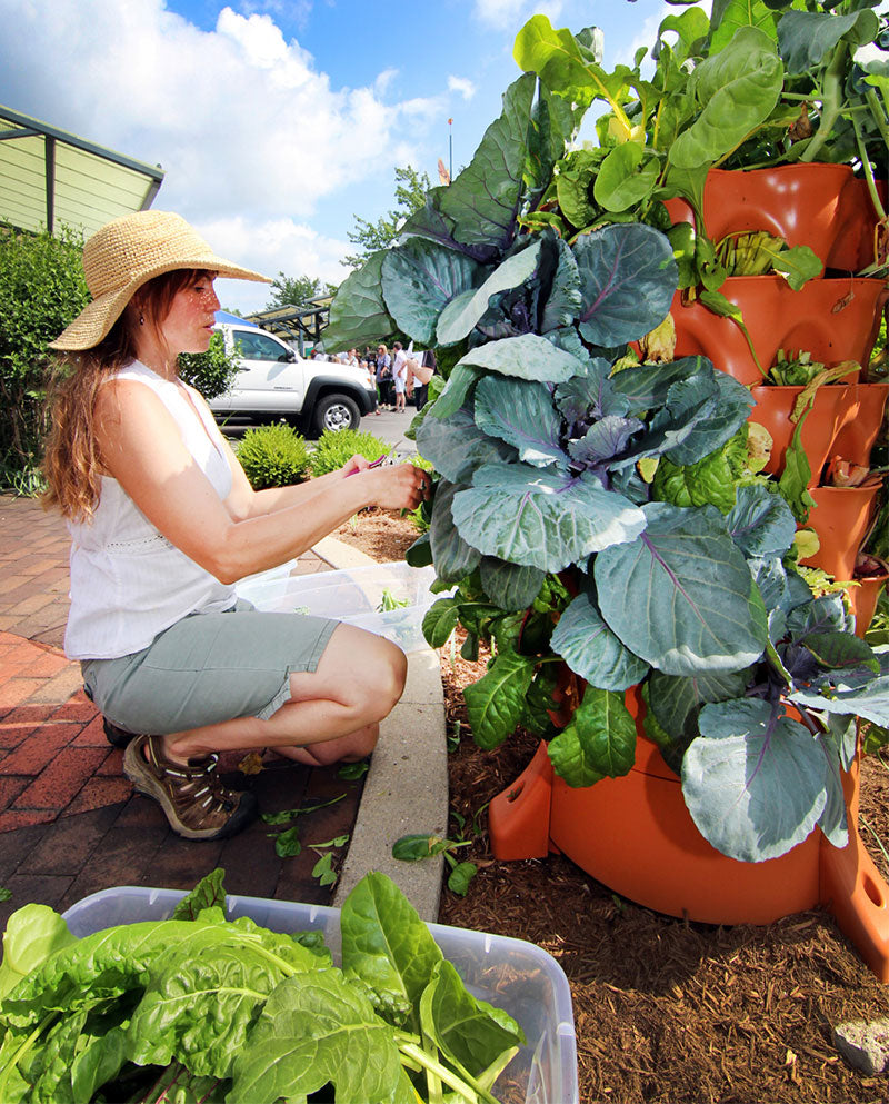 Garden Tower 2 | Vertical Vegetable Garden Planter – Free Shipping