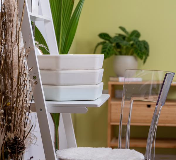 Bug Factory | Sustainable Mealworm Insect Habitat – Free Shipping