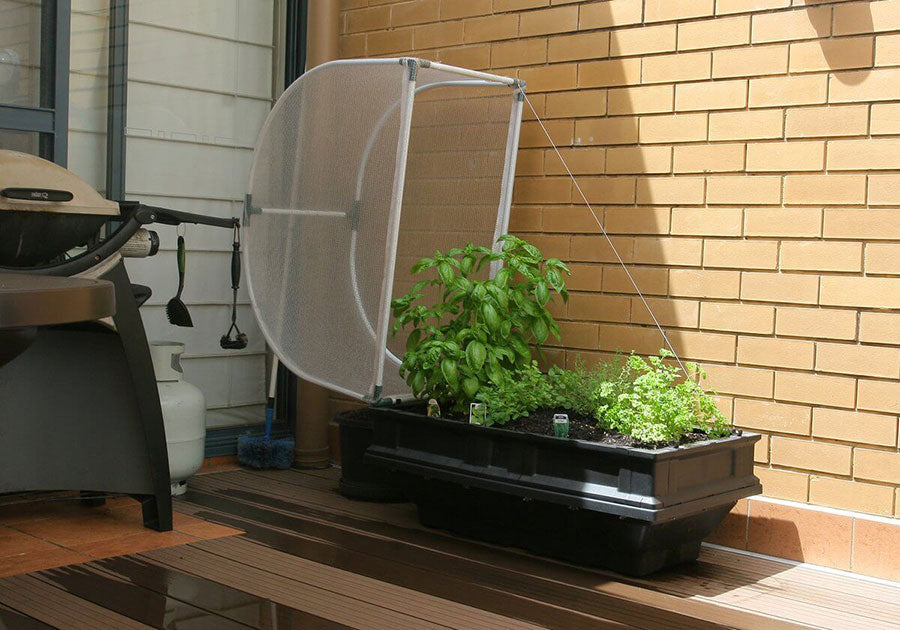 Vegepod Small Raised Garden Bed | Vegetable Garden – Free Shipping