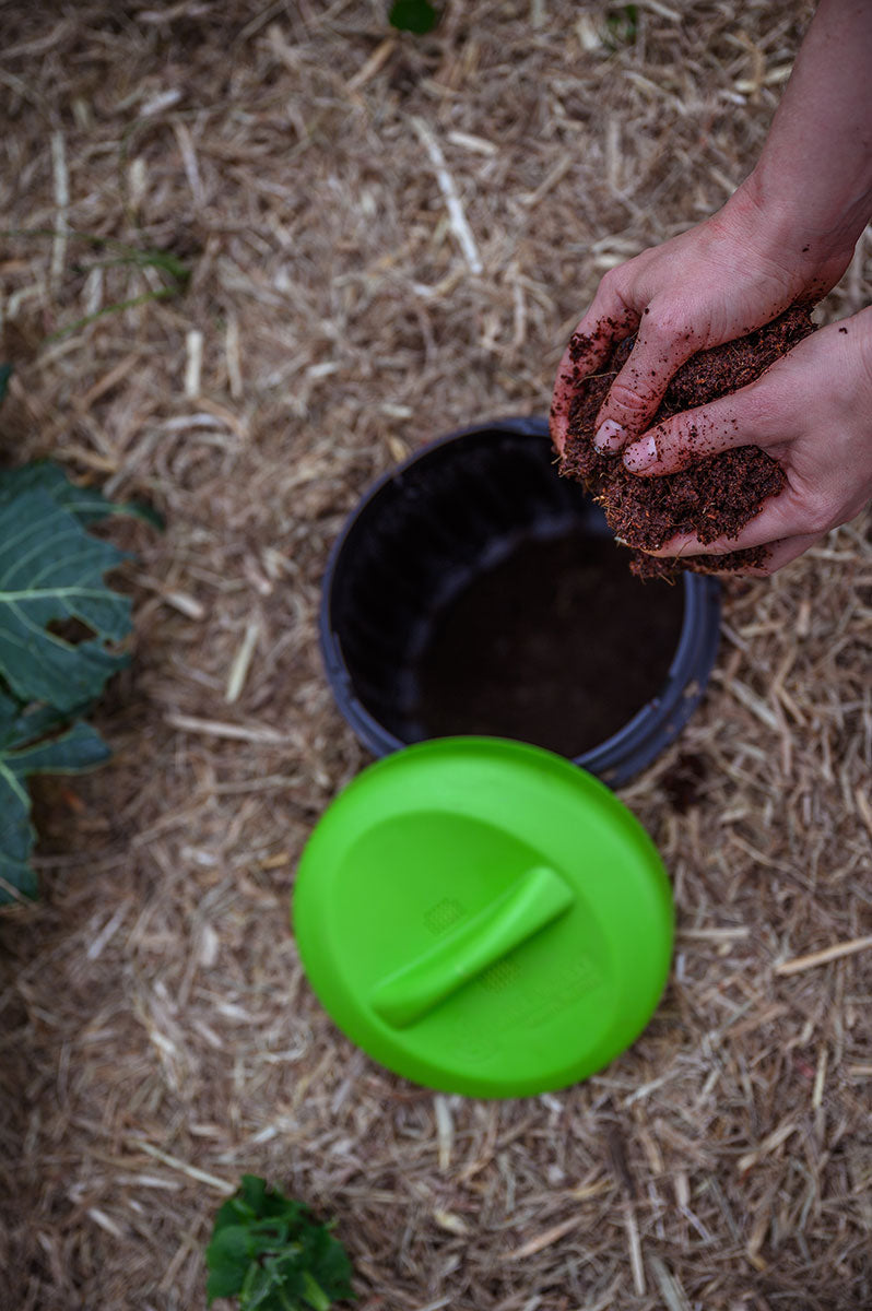 Worm Buffet | In-Ground-Composter – Free Shipping