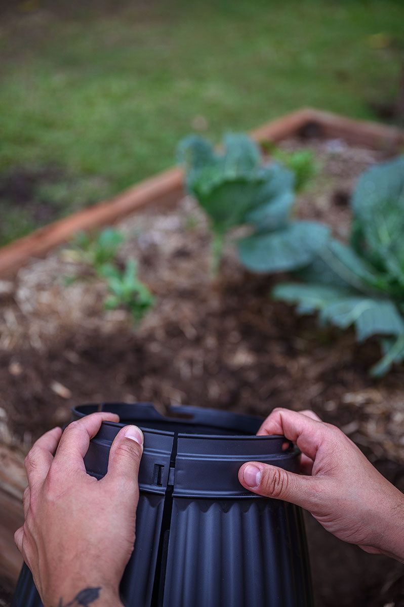 Worm Buffet | In-Ground-Composter – Free Shipping